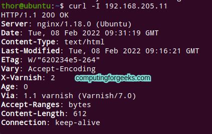 Configurar Varnish Cache 7 En Ubuntu 22 04 20 04 18 04