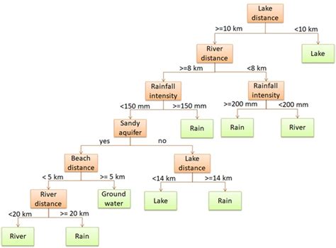 distinguish between tree based machine learning models
