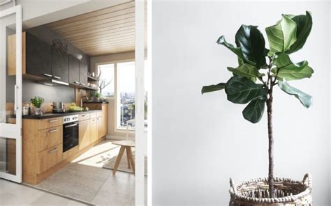Natuur In De Keuken Inspiratie En Tips Keukenwarenhuis Nl