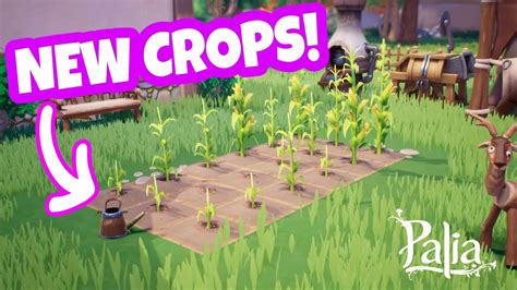 PALIA UPDATE Spice Up Your Palia Farm With New Crops And Dishes YouTube