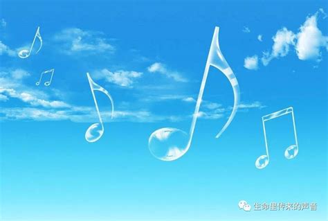 乘着歌声的翅膀 聆听和声的美妙向着梦想奔跑 搜狐大视野 搜狐新闻