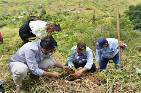 estrategias para mejorar la produccion agricola Mejora tu Producción
