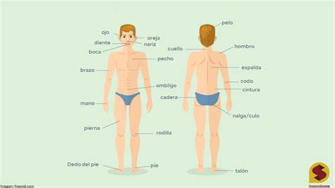 Where To Go For Health Care In Almuñécar Costa Tropical