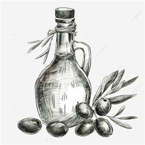 Olive Oil Bottle And Olives Branch Sketch Olive Oil Olive Sketch PNG
