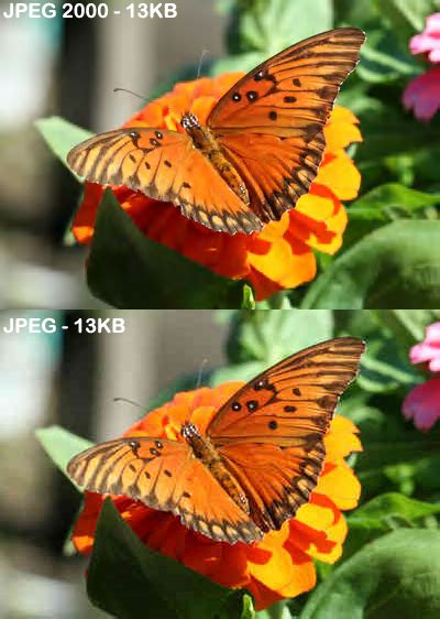 image processing and pattern recognition biti3313 jpeg 2000 vs jpeg