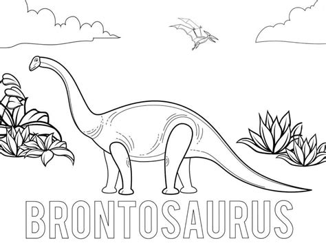 Dibujo Para Colorear Dinosaurio Brontosaurio Brontosaurus Dinosaur