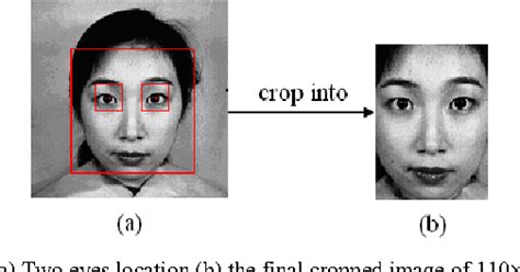 figure 2 from facial expression recognition based on gabor wavelets and sparse representation