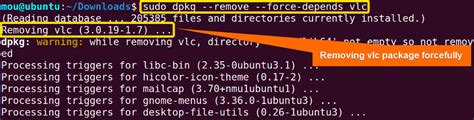 How To Remove Package And Dependencies Using Dpkg 4 Cases LinuxSimply