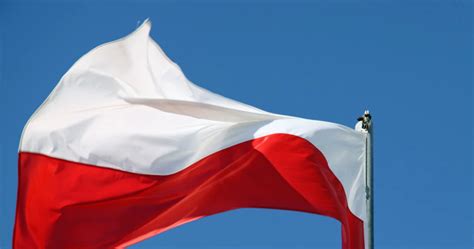 Jak Zrobi Kotylion Na Listopada Kobieta W Interia Pl