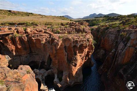 Que Faire En Afrique Du Sud 10 Incontournables D Un Road Trip