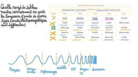 Vidéo question Identifier les différents types dondes