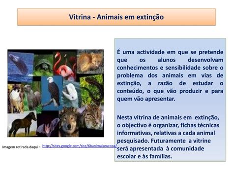 PPT Vitrina Animais em extinção PowerPoint Presentation free