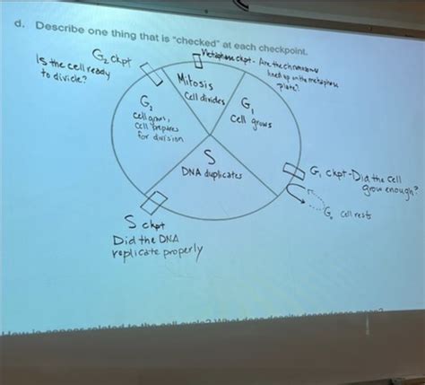 Bio Midterm Questions Flashcards Quizlet
