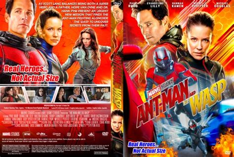 Covercity Dvd Covers Labels Ant Man And The Wasp
