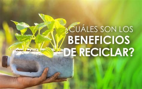 Beneficios Y Usos Del Reciclaje The Best Porn Website