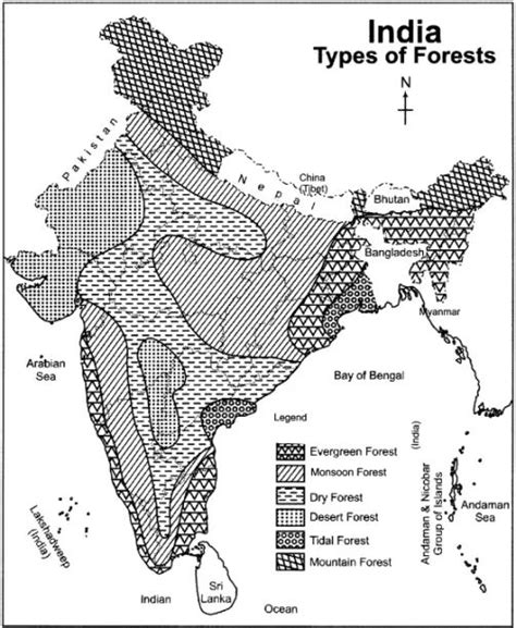 RBSE Solutions For Class 11 Indian Geography Chapter 8 Natural