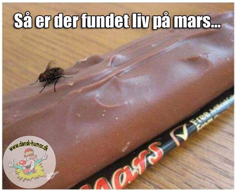 P Dansk Humor Dk Finder Du Mange Sjove Videoer Og Billeder Som Du Med