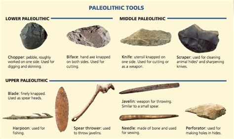 Stone Age Paleolithic Tools Early Humans Tools Paleolithic