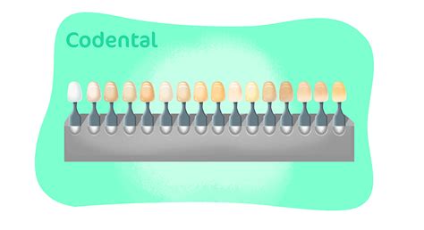 Cores de resina para dentes tudo que você precisa saber