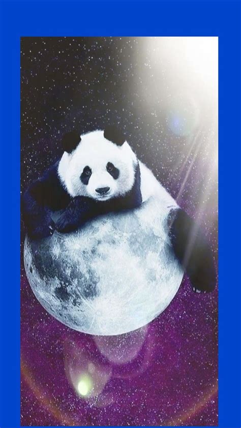 Pin De Jose Luis En Pins Creados Por Ti Imagenes De Osos Panda Fotos