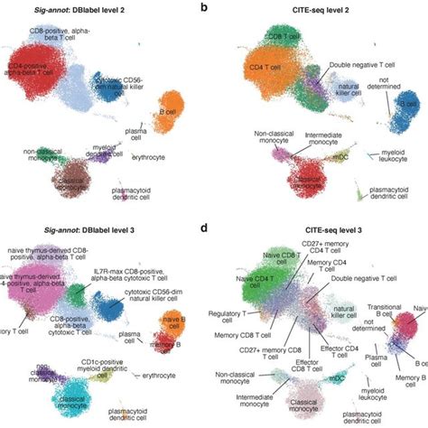 scdc deconvolution results based on simulated bulk rna seq from scdc download scientific