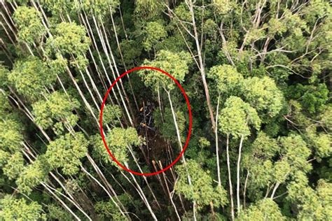 Corpos de passageiros do helicóptero chegam ao IML Metrópoles