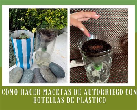 Cómo hacer macetas de autorriego con botellas de plástico Plantas