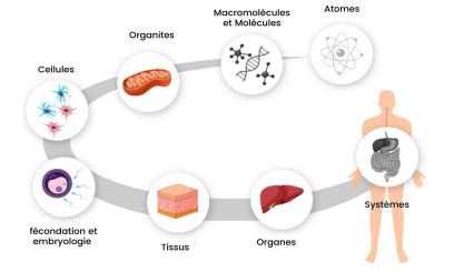 Biologie Cellulaire 0 Cartes Quizlet