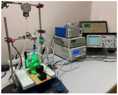 micromachines free full text optimization of complete rat heart decellularization using
