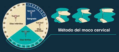 llᐈ Qué es un tratamiento de fertilidad natural 2021