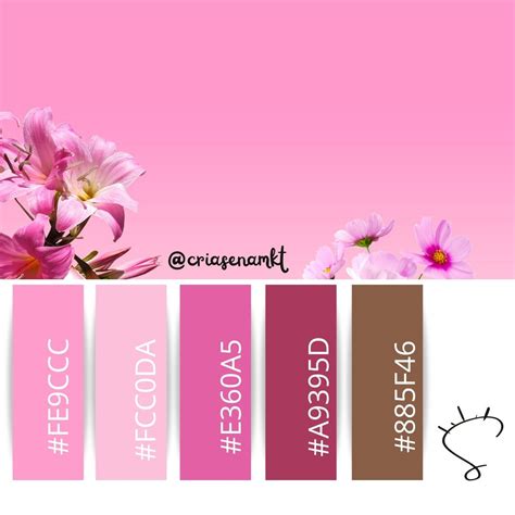 Paleta De Cores Rosa Em 2021 Paleta De Cores Rosa Cores Paleta De Cores