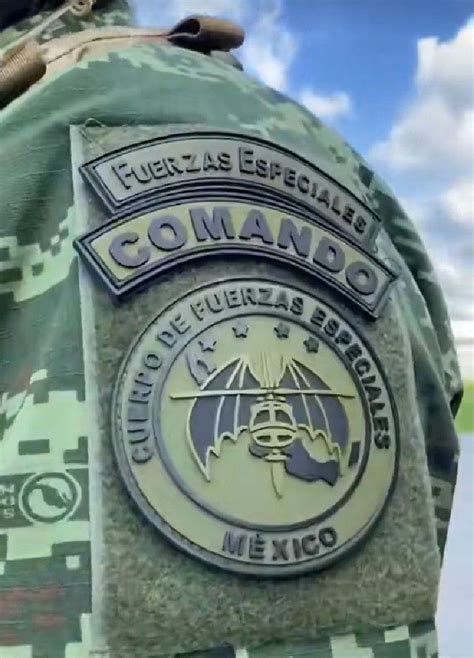 Pin En Fuerzas Especiales De Mexico