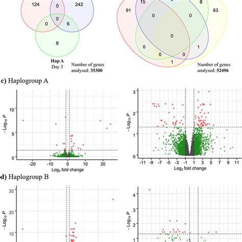 Results Of The Differential Gene Expression Analysis A Venn Diagram