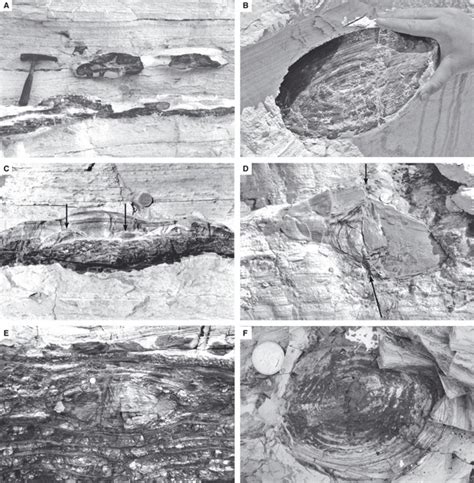 Early Chert Formation By Addition Of Pore Filling Opal Ct Cement