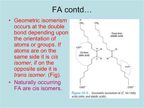 Lipids Chemistry Structure Function More Detailed PPT