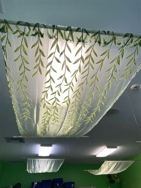5 Best Plants For The Classroom Artofit