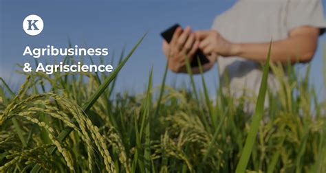 Revolutionizing Agribusiness A Deep Dive Into Innovations Reshaping