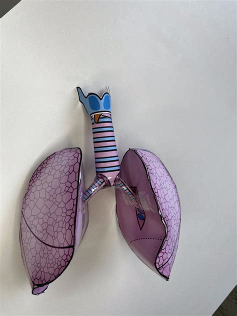 Sistema respiratório 3D Español Faça Você Maker