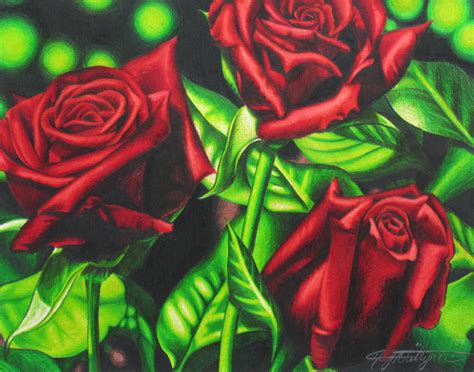 Coloured Pencil Drawings Of Roses Pencildrawing