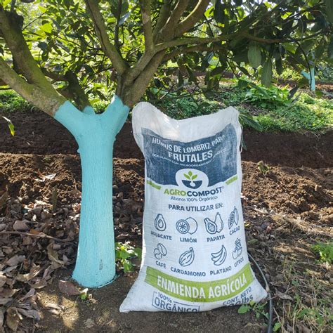 Details Fertilizante Para Rboles Frutales Abzlocal Mx