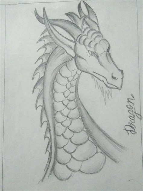 Imágenes De Dragones Para Dibujar A Lapiz Peanit blogspot
