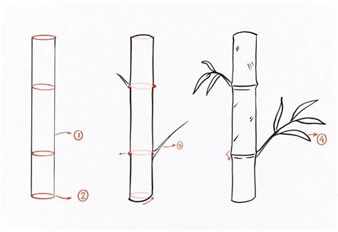 How To Draw Bamboo Tree Easy And Step By Step Tutorial Choose Marker