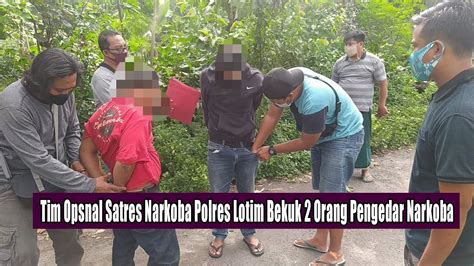 Tim Opsnal Satres Narkoba Polres Lotim Bekuk 2 Orang Pengedar Narkoba