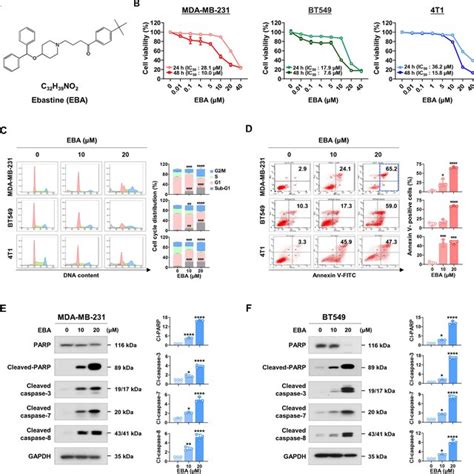 Ebastine EBA Reduces Cell Viability And Induces Apoptosis In TNBC