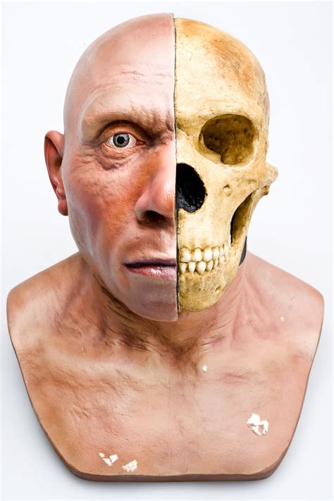 Future Evolution Of Humans Theories