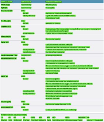 Chpt Flashcards Quizlet