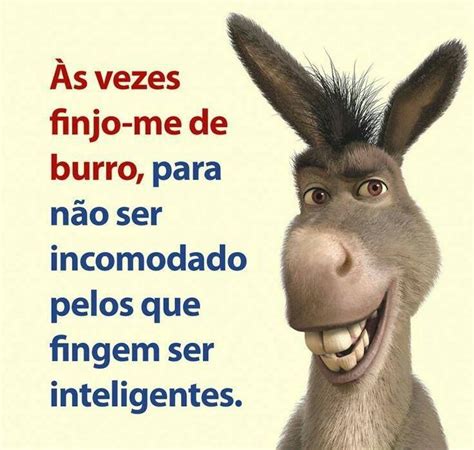 Pin Em Frases Engra Adas Em Mensagem De Humor Fotos Frases