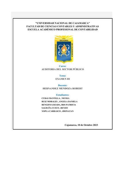 Auditoria Del Sector P Blico Examen Renzo Cuzco Udocz