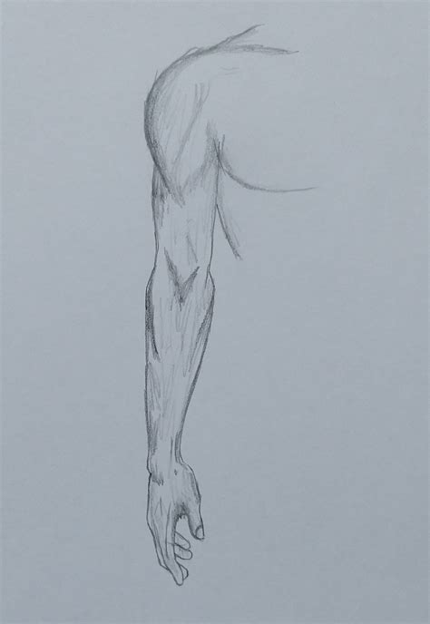 Boceto De Brazo Masculino Brazos Dibujo Dibujos H Pster Dibujo Al