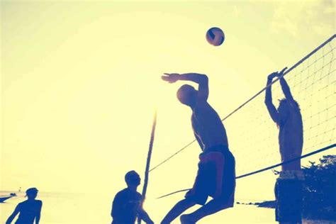 Principais Regras do Voleibol Dicas Educação Física